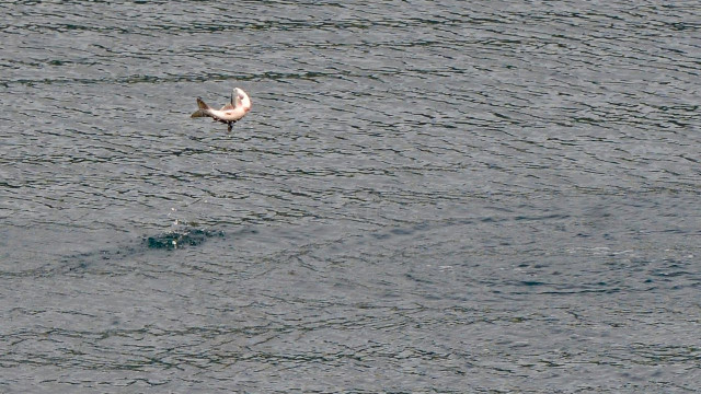 Alaska Day 6: Whittier & Chenega Bay - Adventure Hermit Travel